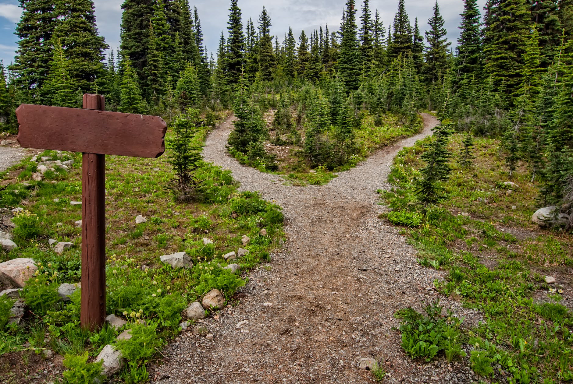 [Proverbs as Parables]: The Two Paths – StevenBourque.com